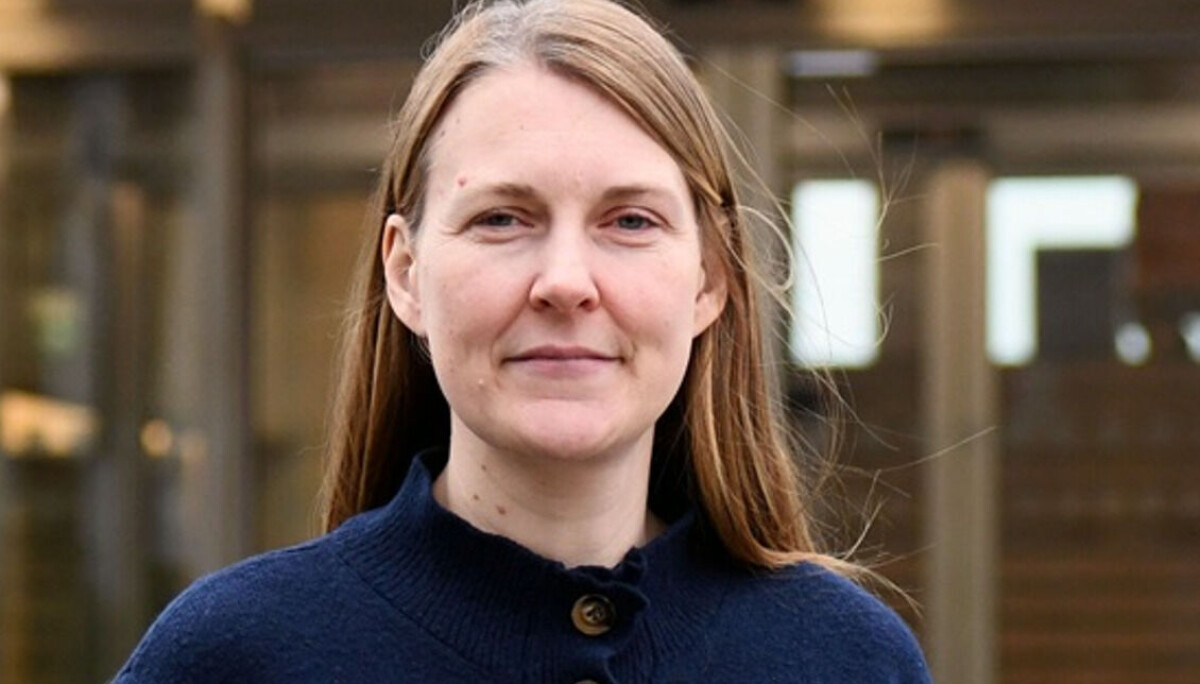 NHH: Tre nye prorektorer